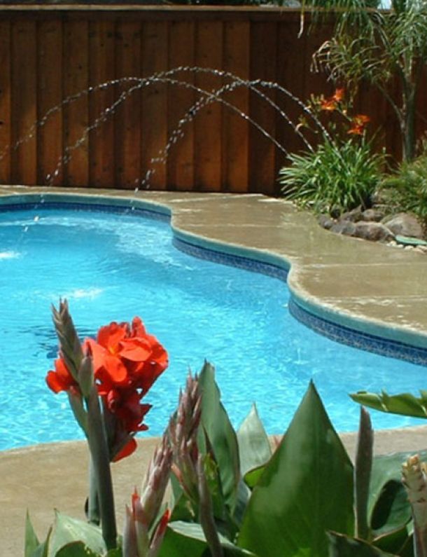 Choosing A Pool Type - Penguin Pools